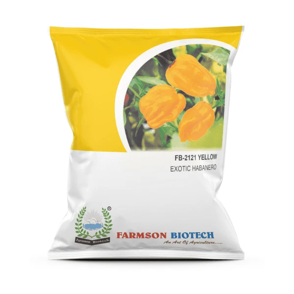 FB-2120 YELLOW HABANERO CHILLI SEEDS (VERY HOT)